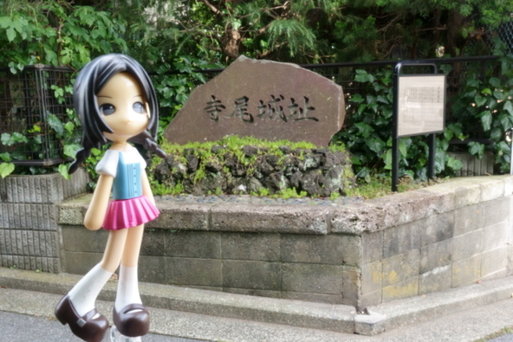 TINAMI - [モデル]寺尾城址pinky:st.2020