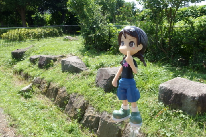 TINAMI - [モデル]横浜の風景pinky:st.2020