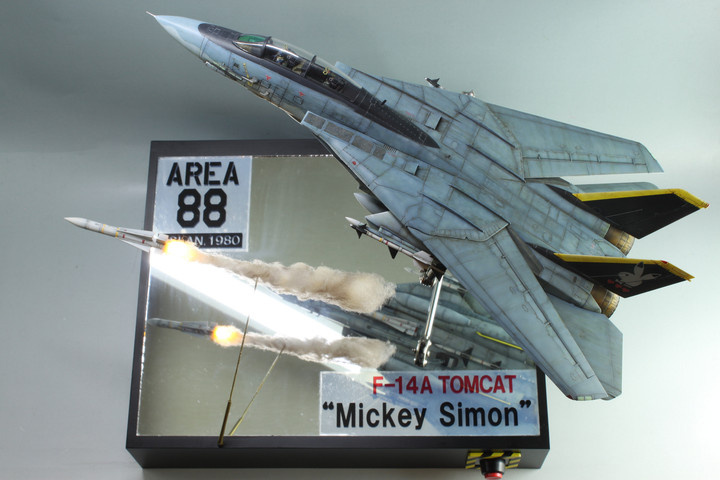 TINAMI - [モデル]F-14Aトムキャット “ミッキー・サイモン”