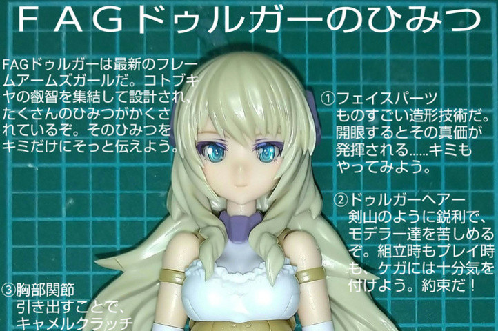 TINAMI - [モデル]FAGドゥルガーのひみつ