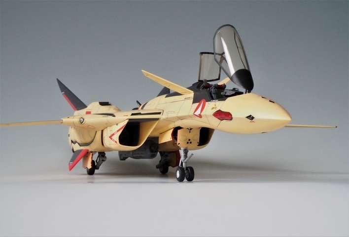 TINAMI - [モデル]1/48 ハセガワ マクロスプラス YF-19