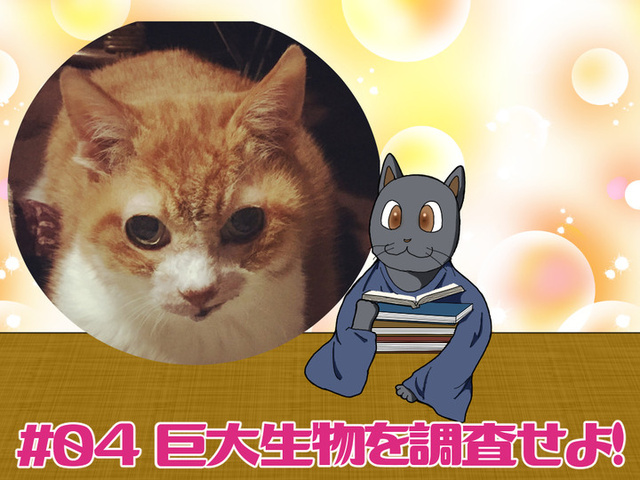 TINAMI - [マンガ]【巨大猫】#04 巨大生物を調査せよ！【ストップモーションアニメ】