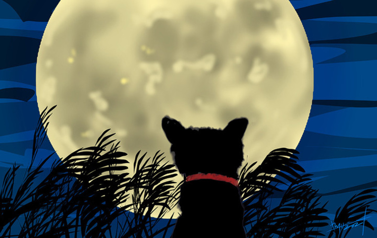 TINAMI - [イラスト]自宅カレンダーイラスト2021年9月