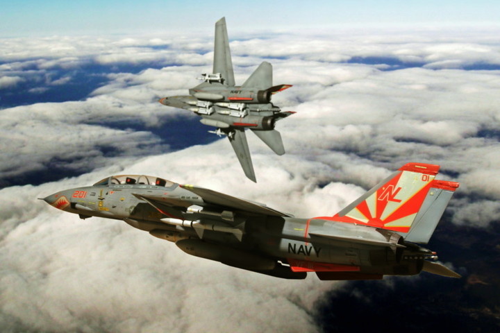 TINAMI - [モデル]F-14A トムキャット "VF-111 サンダウナーズ"
