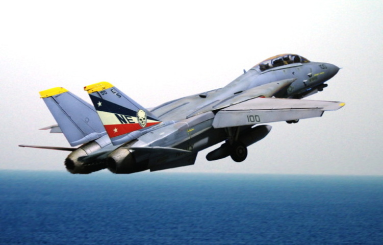 TINAMI - [モデル]F-14D トムキャット "VF-2 バウンティハンターズ"
