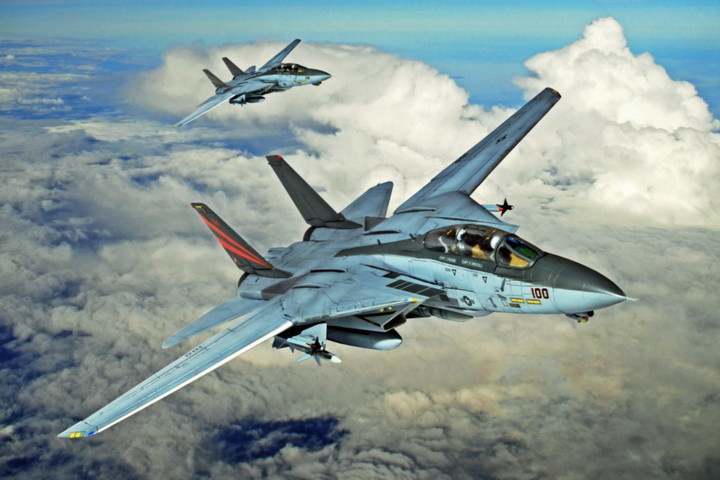 TINAMI - [モデル]F-14A トムキャット "VF-154 ブラックナイツ"