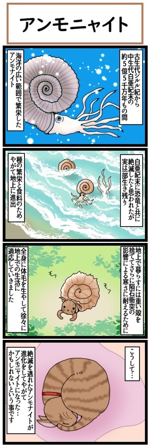 TINAMI - [マンガ]『ほら、ここにも猫』・第418話「アンモニャイト」（ammonite cat）