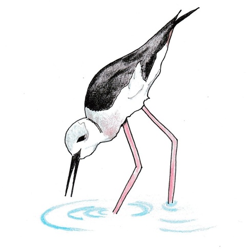 TINAMI - [イラスト]イラスト12