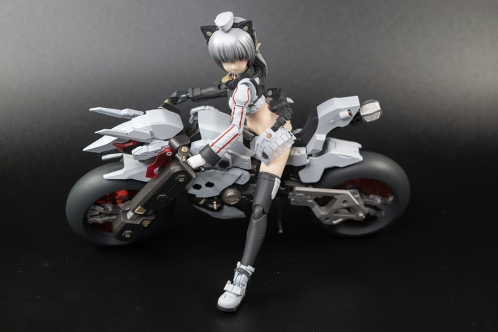 TINAMI - [モデル]アルシア with W.A.T.S1000R