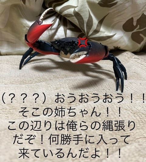 TINAMI - [マンガ]70時間目！シロナの試練の時間 ④