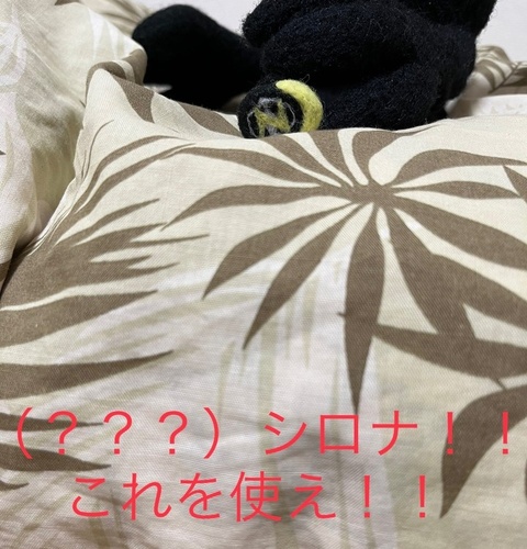 TINAMI - [マンガ]70時間目！シロナの試練の時間 ⑦