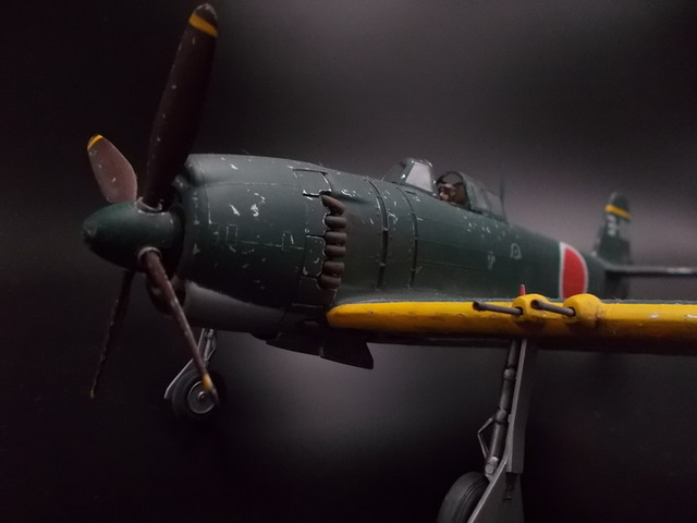 TINAMI - [モデル]日模 1/35 紫電改