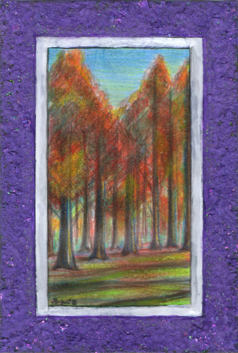 TINAMI - [イラスト]木々