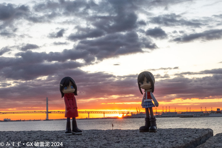 TINAMI - [モデル]おでかけpinky:st.2024