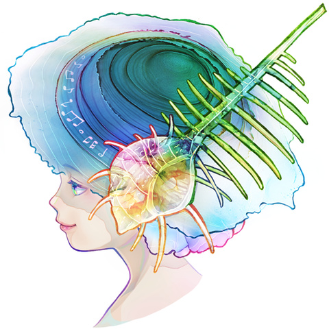 TINAMI - [イラスト]貝殻 x 帽子