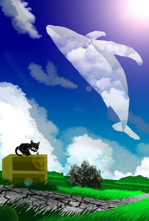 TINAMI - [イラスト]Soar up into the blue sky