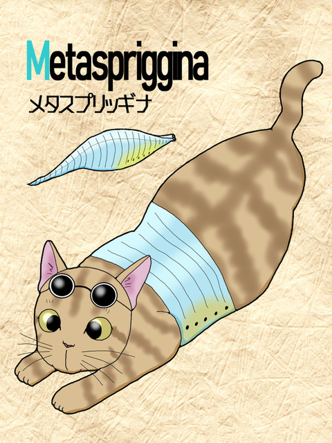 TINAMI - [マンガ]『変身にゃんこのABC・古代生物編』Metaspriggina（メタスプリッギナ）