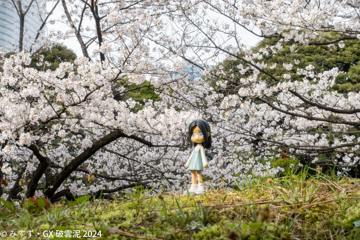 TINAMI - [モデル]おでかけpinky:st.2024