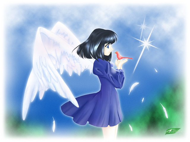 TINAMI - [イラスト]wings