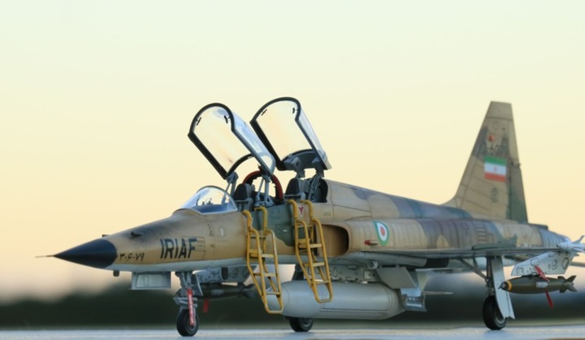 TINAMI - [モデル]1/48 Iran Air Force F-5F