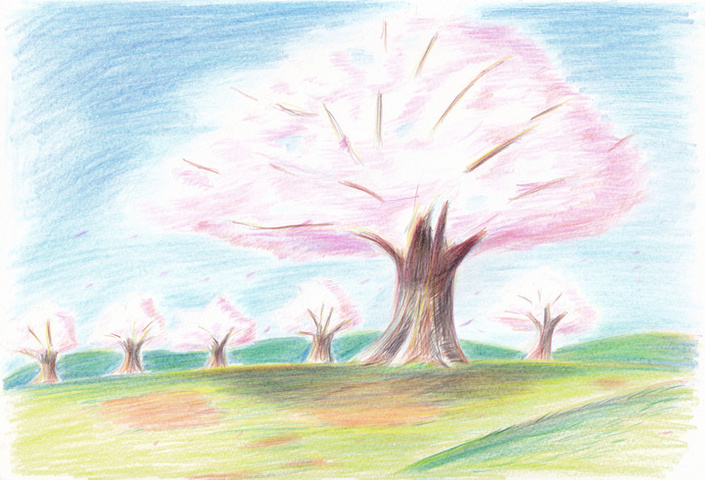 TINAMI - [イラスト]2025手描きの桜の景色。