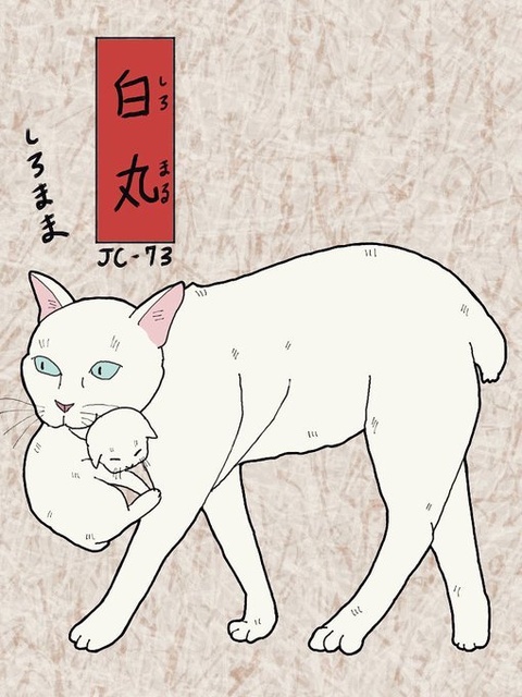 TINAMI - [マンガ]「其のまま地口 にゃうめ線」JC 73.白丸（しろまる）／しろまま