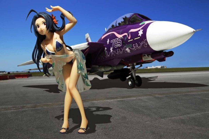 TINAMI - [モデル]三浦あずさ with F-14D