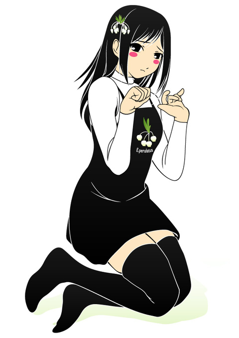 TINAMI - [イラスト]4/14 ドウダンツツジ