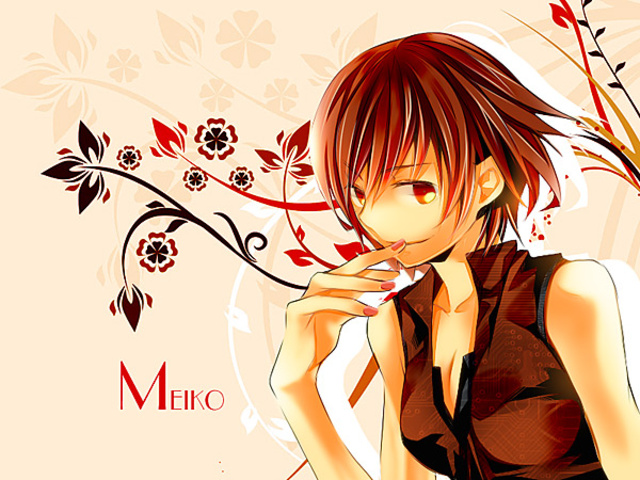 TINAMI - [イラスト]has come