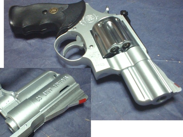 TINAMI - [モデル]S＆W M29 センチネルアームズカスタム 2