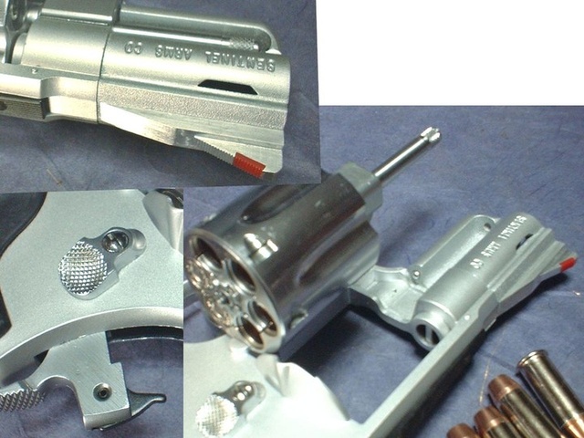 TINAMI - [モデル]S＆W M29 センチネルアームズカスタム 3