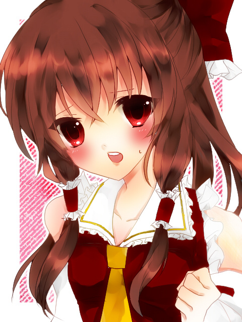 TINAMI - [イラスト]霊夢