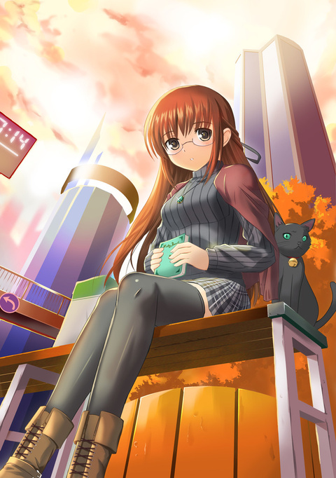 TINAMI - [イラスト]あきぞらっ！2011