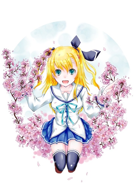 TINAMI - [イラスト]D.C.