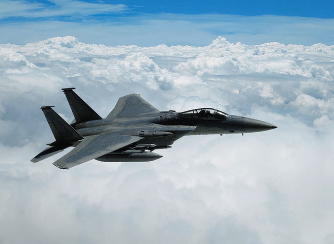 TINAMI - [モデル]F-15C