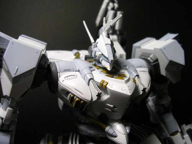 TINAMI - [モデル]ASPINA WHITE-GLINT