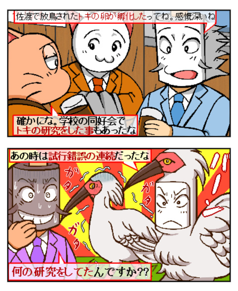 TINAMI - [マンガ]トキ、36年ぶりにヒナ誕生