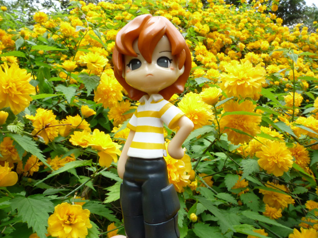 TINAMI - [モデル]pinky:st浜離宮に桜その他見に行ってきたよ2012