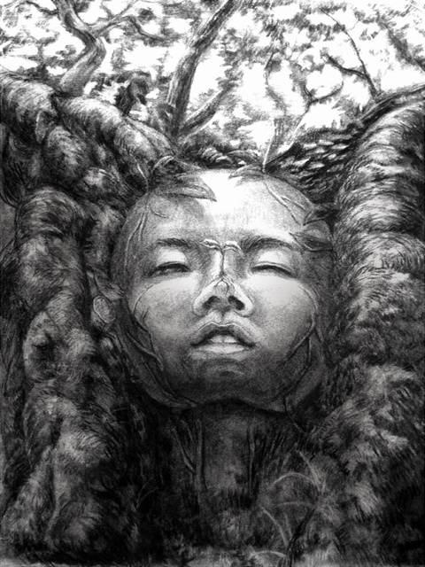 TINAMI - [イラスト]森になりたい