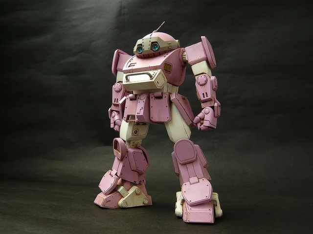 TINAMI - [モデル]1/24 パープルベアー