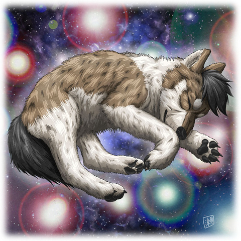 TINAMI - [イラスト]Sleeping puppy