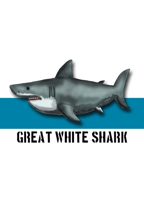 TINAMI - [イラスト]GREAT WHITE SHARK