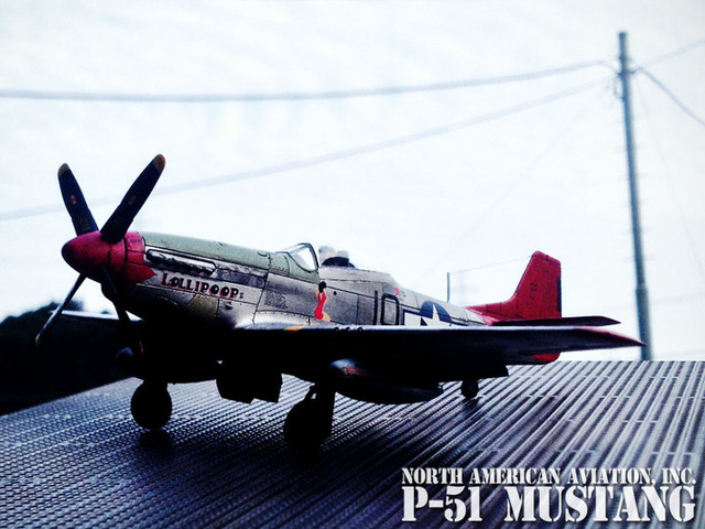 TINAMI - [モデル]1/72 P-51D MUSTANG