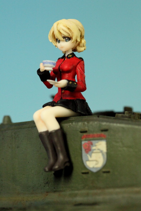 TINAMI - [モデル]1/35 ダージリン