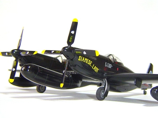 TINAMI - [モデル]F-82G TWIN MUSTANG