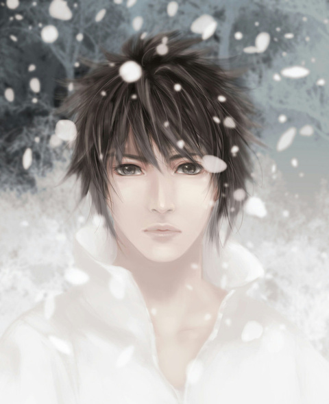 TINAMI - [イラスト]雪花