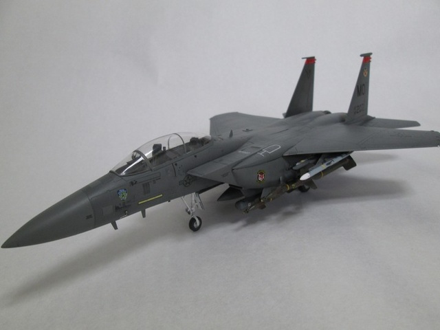 TINAMI - [モデル]F-15E StrikeEagle 391FS
