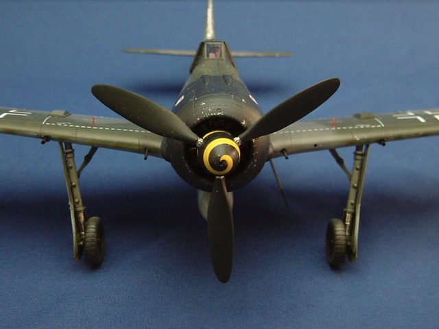 TINAMI - [モデル]1/48 FW190 A-8/R2