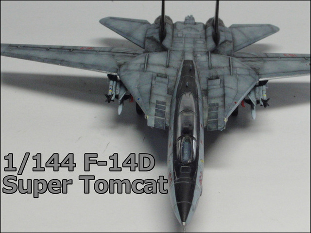TINAMI - [モデル]1/144 F-14D Super Tomcat