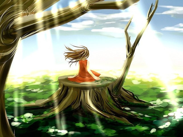 TINAMI - [イラスト]forest